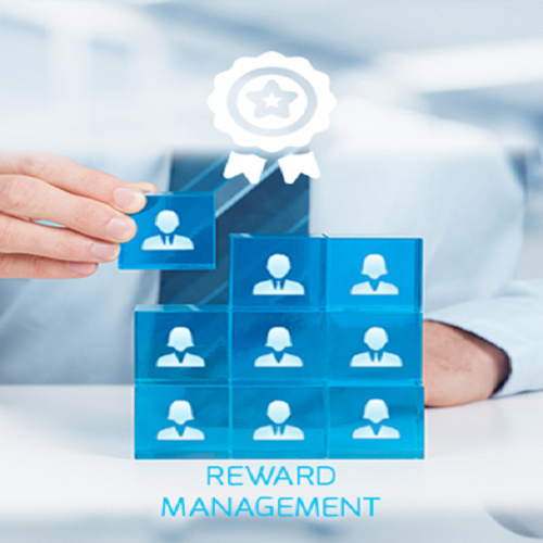 Reward Management System | Loyalty Management Software | Holostik